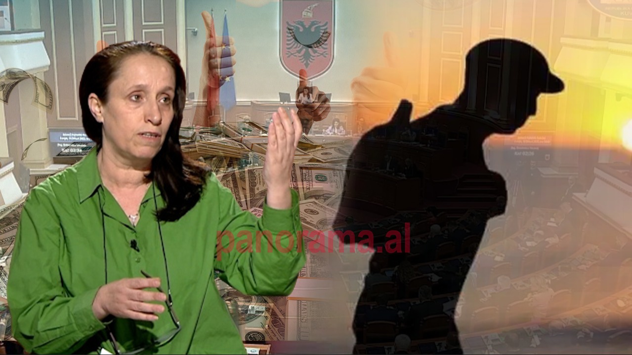 Rritja e pagave për qeveritarët, ekspertja: Diferencë e madhe përballë ...