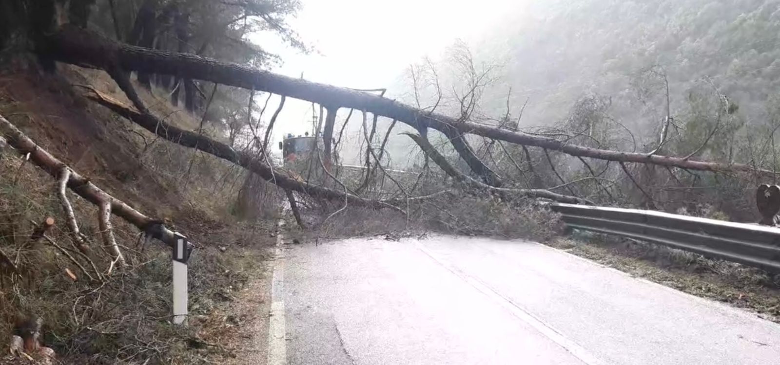 Era e fortë thyen pemët, bllokohet qarkullimi në rrugën kombëtare Ura e ...