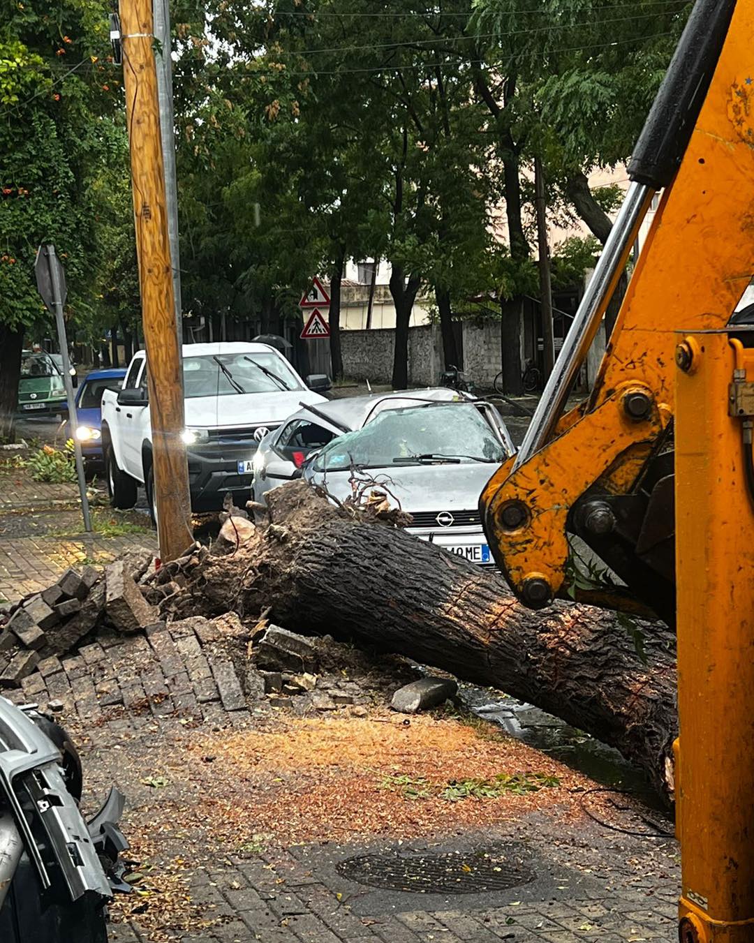 Moti i keq në Shkodër/ Era e fortë dhe reshjet e shiut rrëzojnë pemët ...