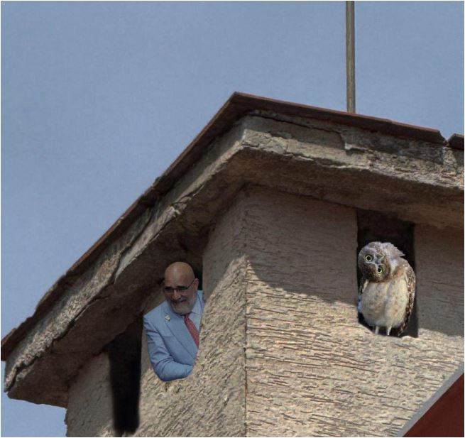 “Mbeti Latifi i shkretë në penxhere për të marrë lekët e bufit”, Rama ...