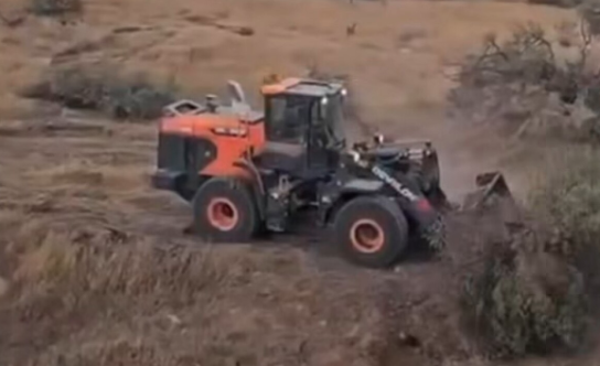 VIDEO/ Buldozerët izraelitë shkulin mijëra pemë ulliri në Bregun ...